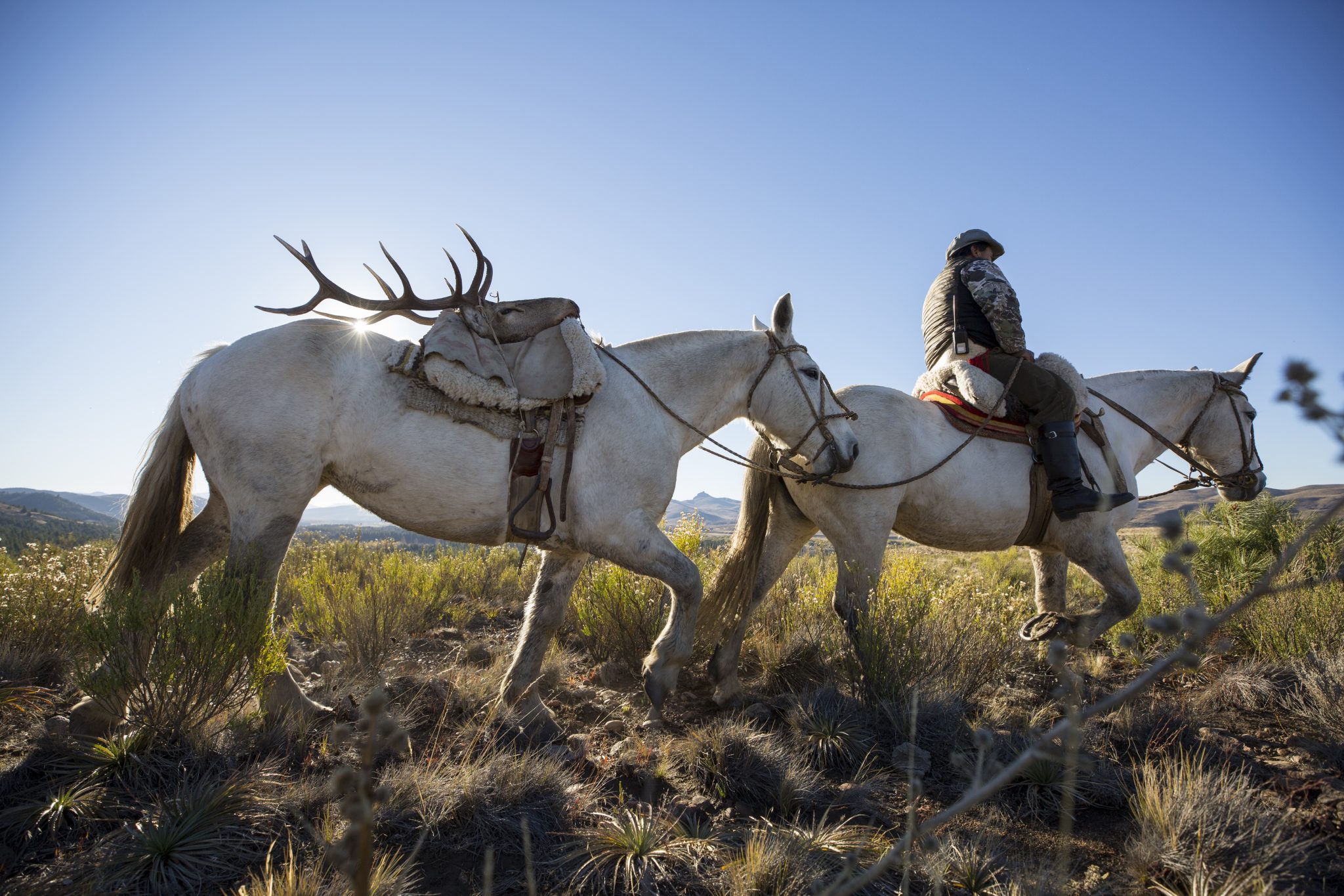 Patagonia Red Stag Hunts Tipiliuke - Trophy Red Stag Hunting