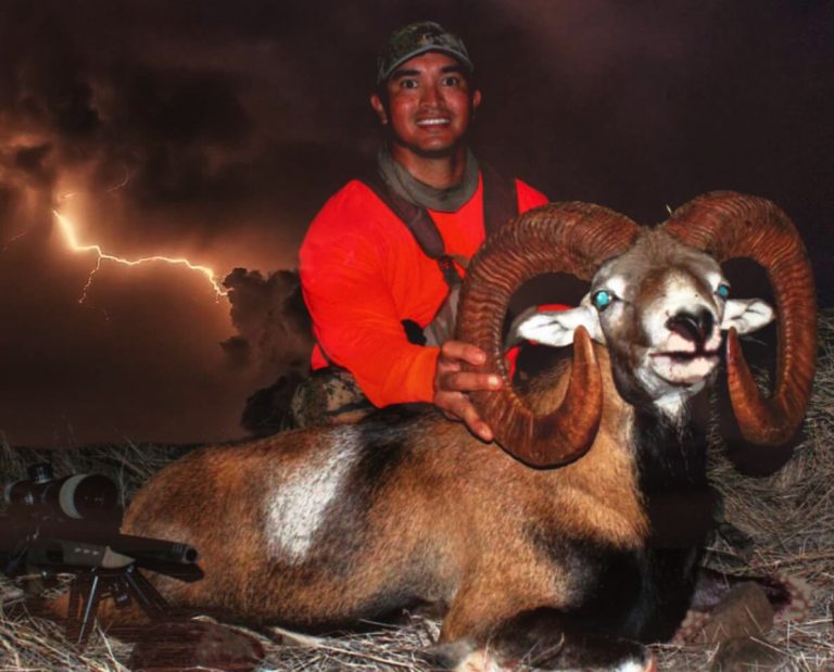 Hawaiian Big Game Hunts - Axis Deer - High Adventure Company