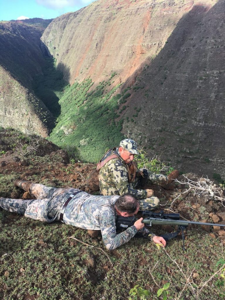 Hawaiian Big Game Hunts - Axis Deer - High Adventure Company