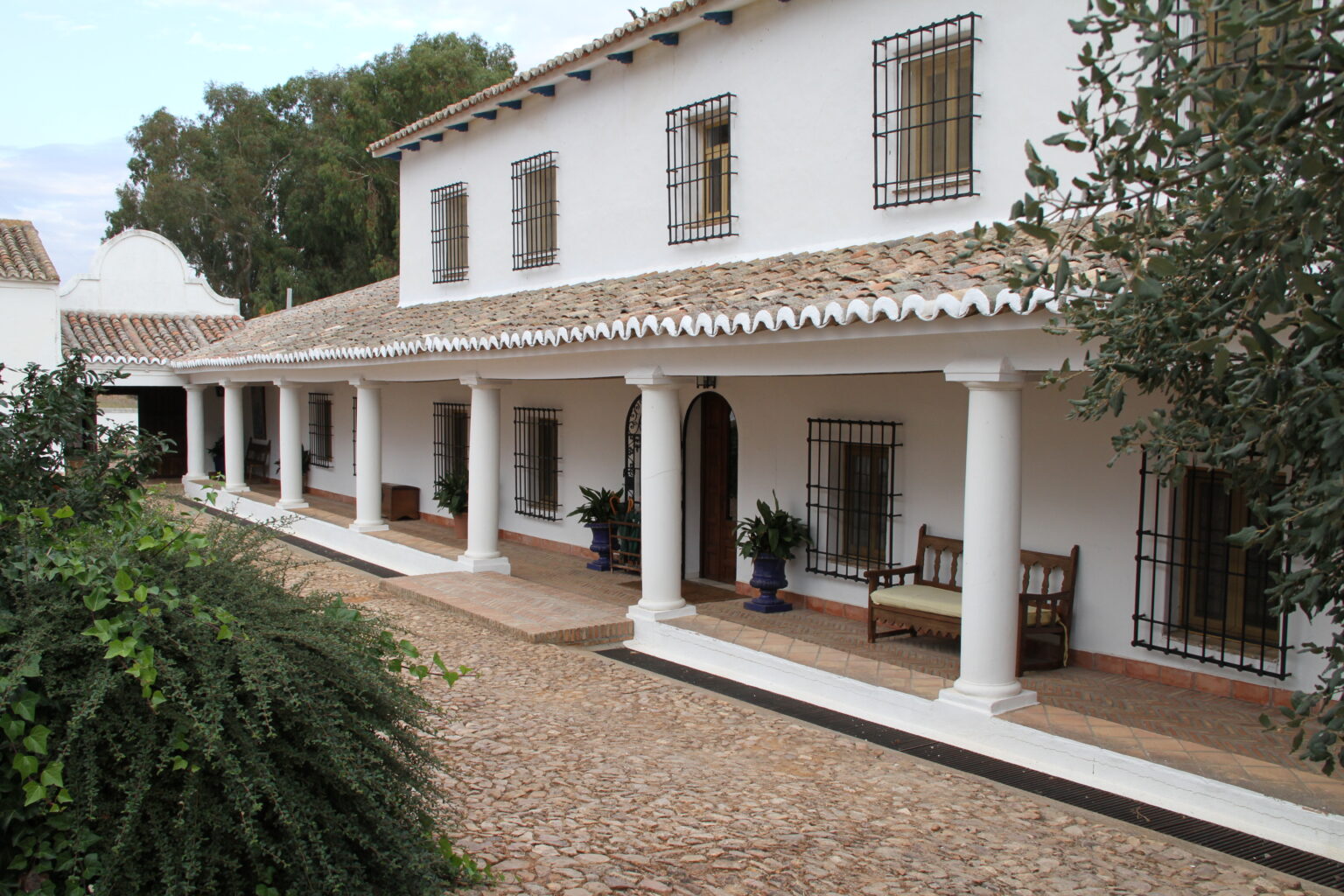 Spain Big Game Hunts - John Burrell's High Adventure Company